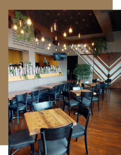 Accueil - Le White Rabbit